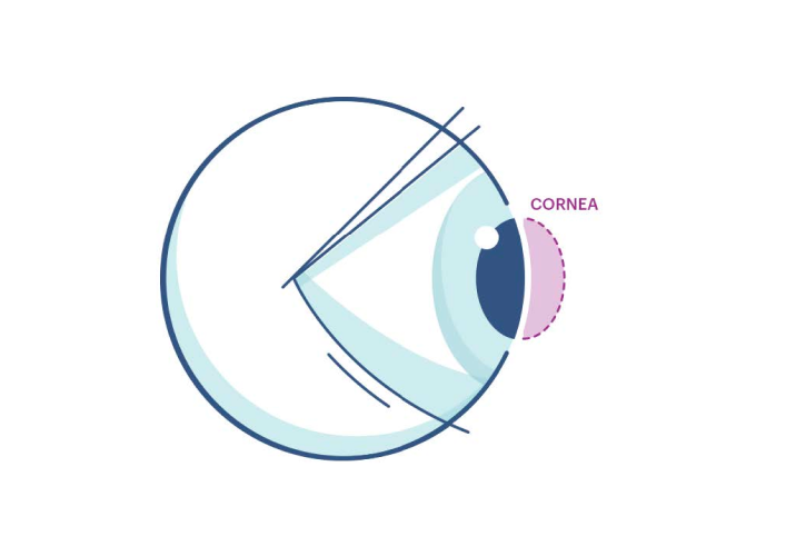Learn the Basics of Eye Care | ACUVUE® Contact Lenses | Acuvue
