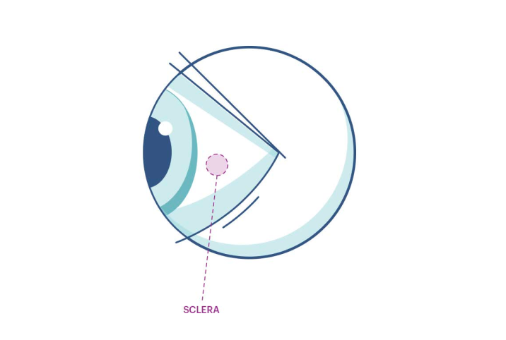 Learn the Basics of Eye Care | ACUVUE® Contact Lenses | Acuvue
