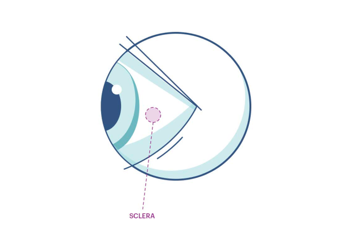 Learn the Basics of Eye Care | ACUVUE® Contact Lenses