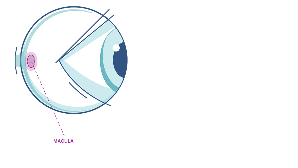 Learn the Basics of Eye Care | ACUVUE® Contact Lenses | Acuvue