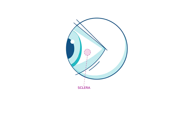 基本眼睛護理 | ACUVUE®隱形眼鏡 | 全球No.1最受眼科視光師信賴 | ACUVUE®香港官方網站