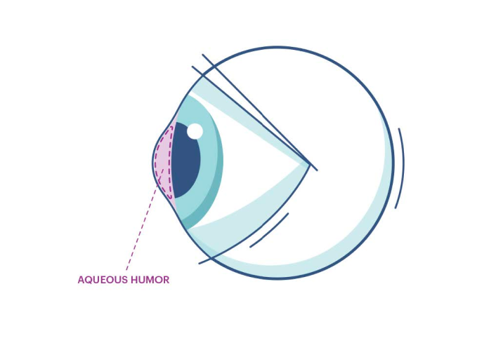 Learn the Basics of Eye Care | ACUVUE® Contact Lenses | Acuvue