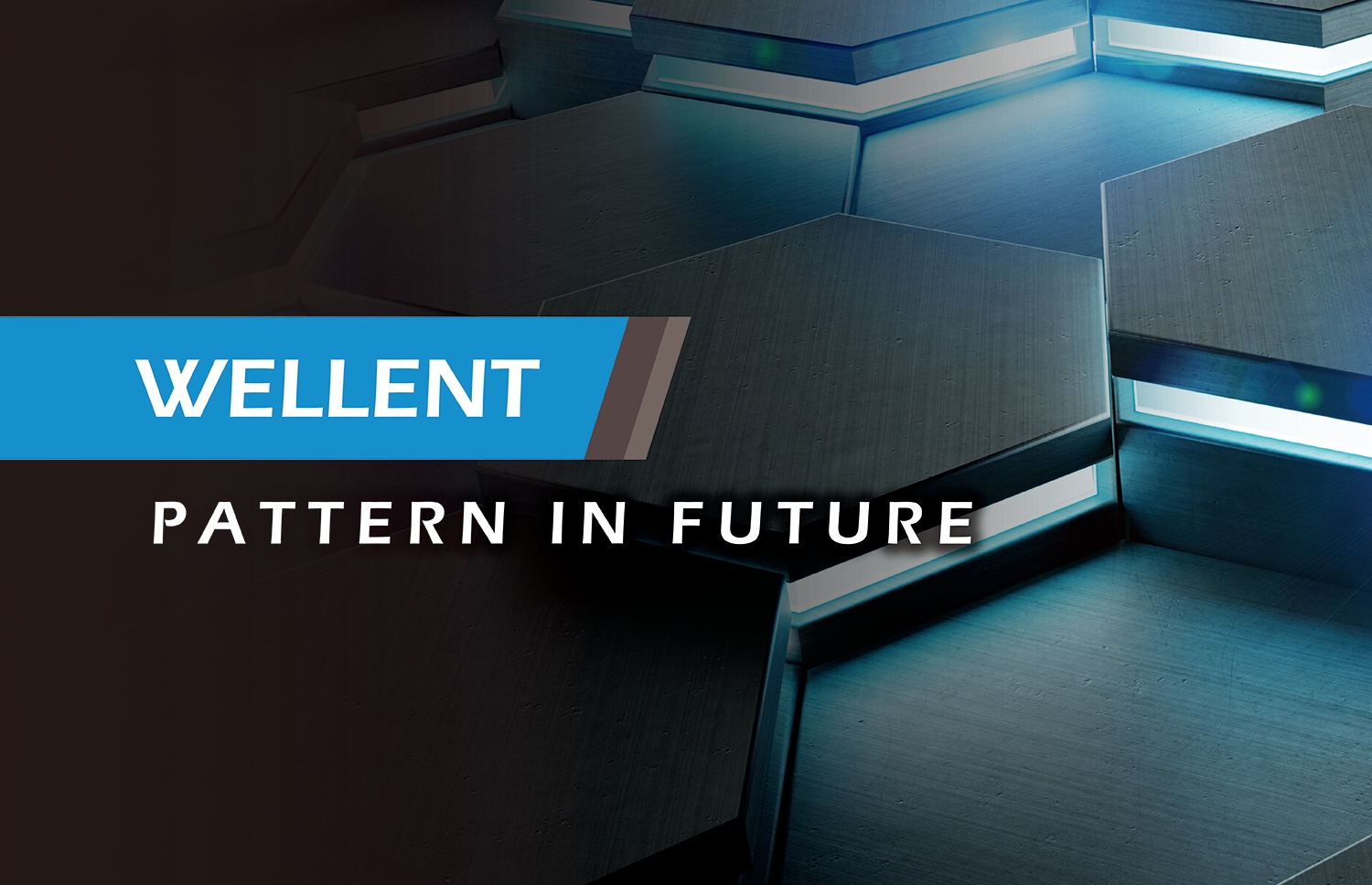 THE SOUTHSIDE | Wellent