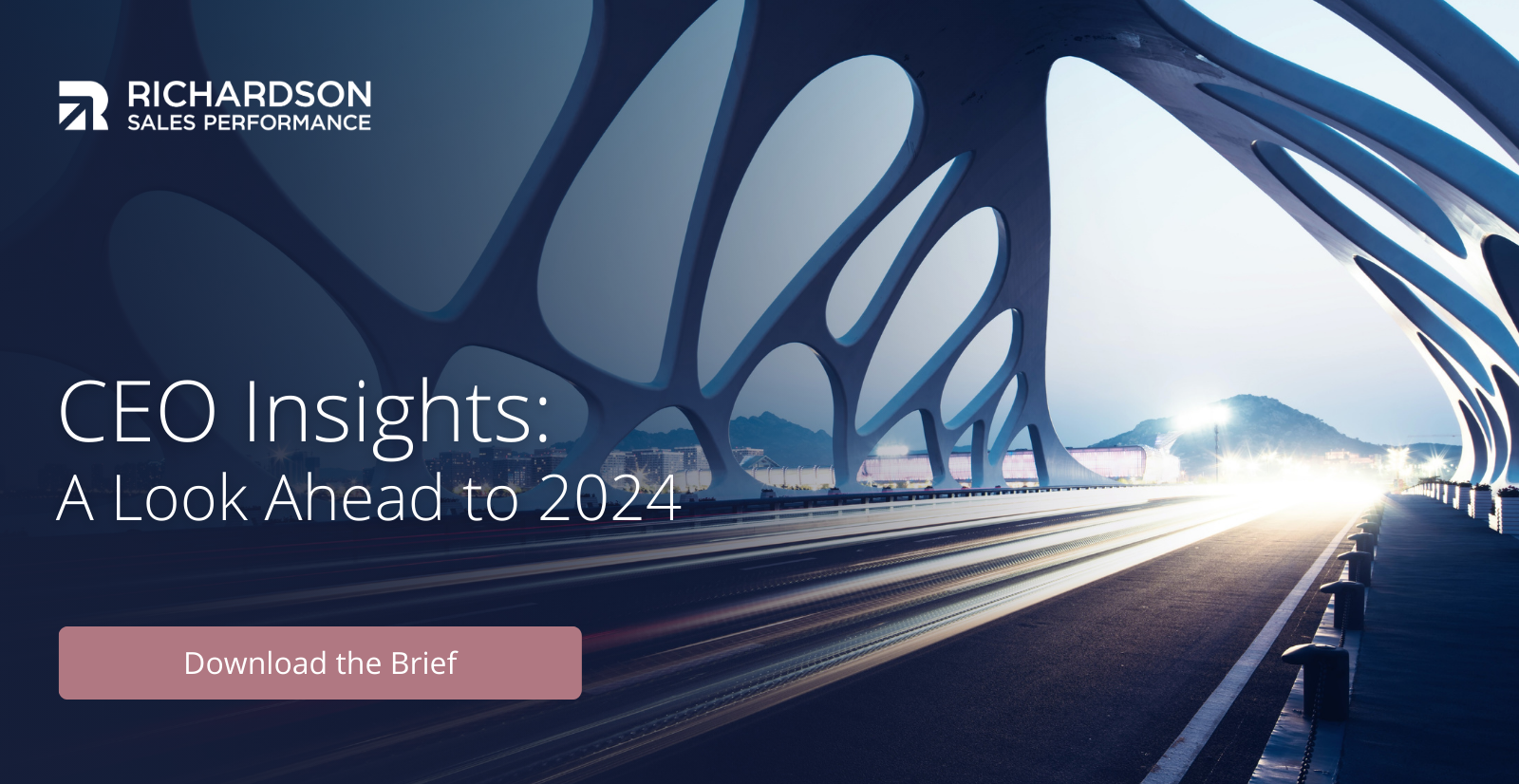 Brief: CEO Insights - A Look Ahead to 2024 | Richardson Sales Performance