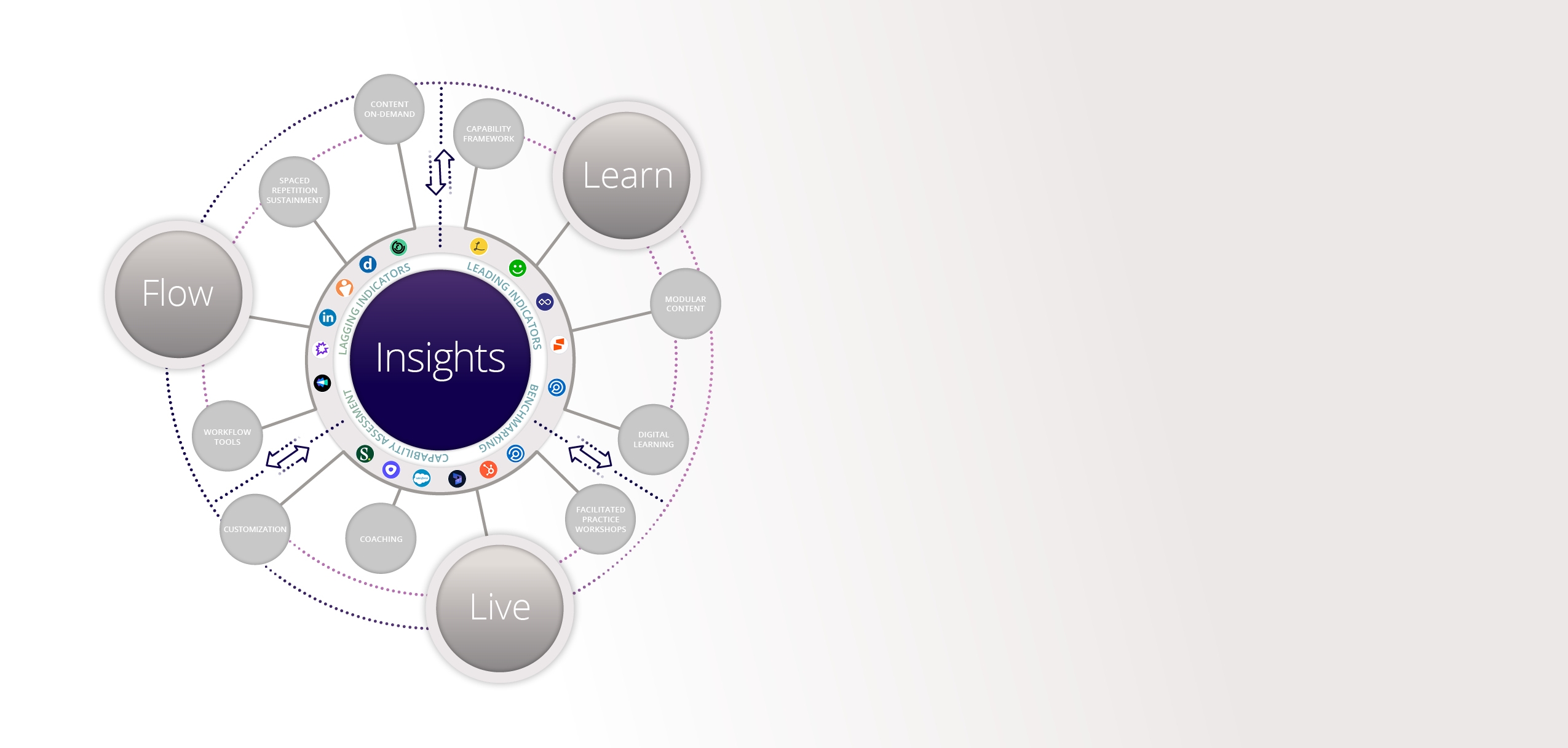 Accelerate Insights | Richardson