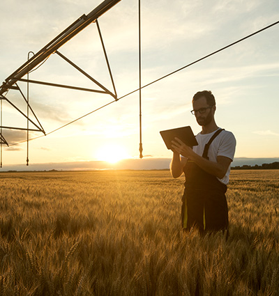 The SMB Advantage: How Cloud Technology Powers Sustainable Impact