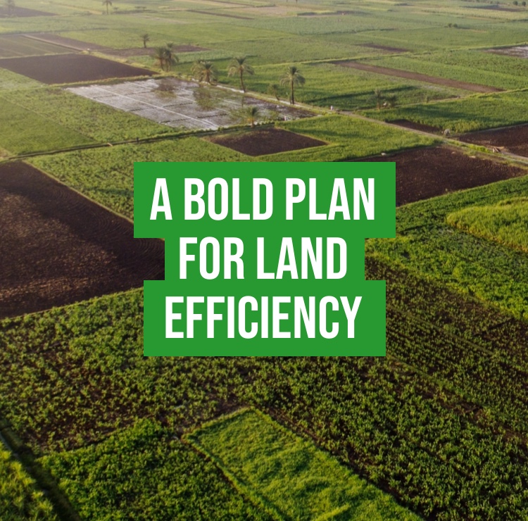 Egypt’s Sustainable Agricultural Transformation Leverages Cutting-Edge ...