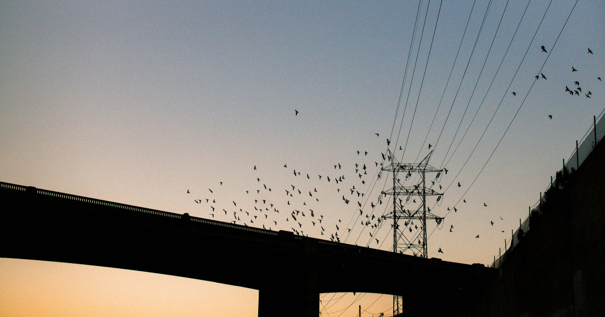 Why the Energy Transition Is Really an Infrastructure Race