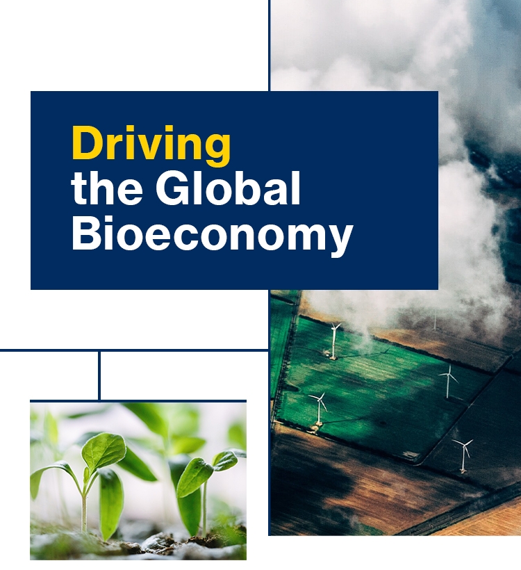 Why the Bioeconomy Can Pave the Way to a Greener Future