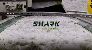 Shark Solutions: From Broken Windshields to New Raw Materials