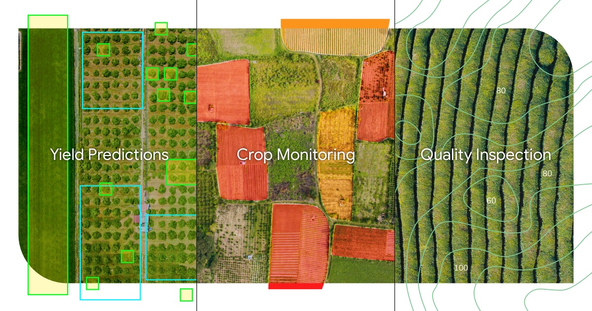 AI’s Role in Boosting Crop Productivity