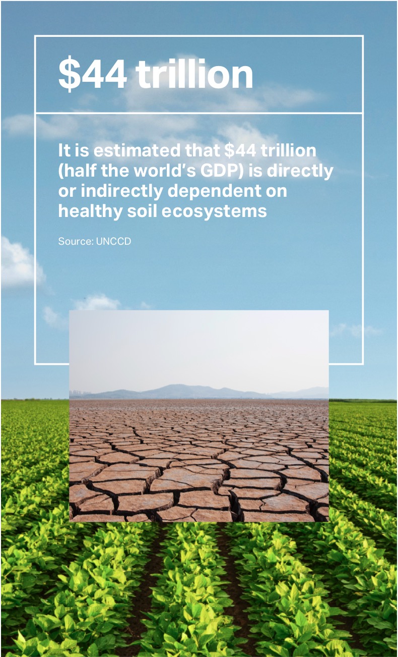 The $44 Trillion Risk Degrading Our Earth: Land Restoration Takes COP16 ...