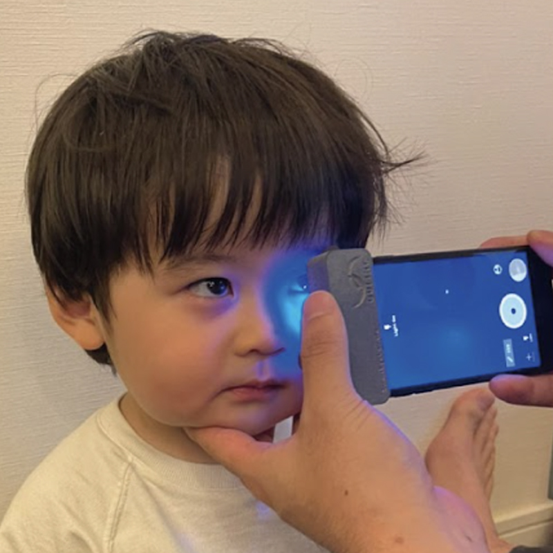 Japan: Where Innovation is Borderless