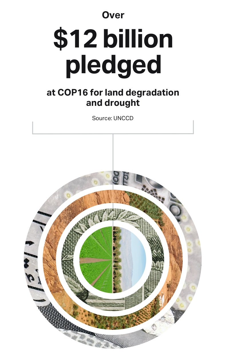 COP16 Riyadh: Investment in Land Degradation & Drought Solutions Takes ...