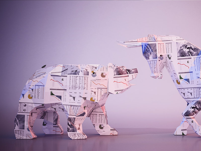 How to Turn a Bear Market in Your Favor