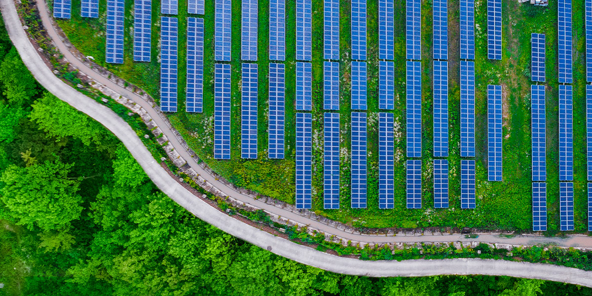 To Get to Net Zero, Companies Need More (and Better) Data
