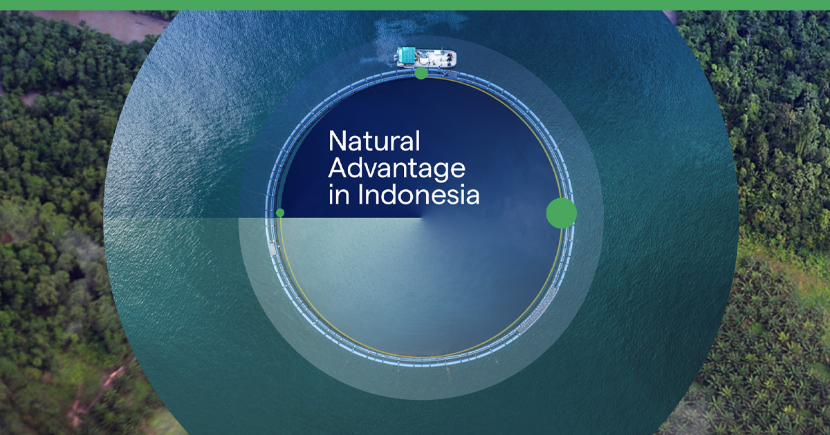Natural Advantages: Investing in Indonesia’s Growing Potential