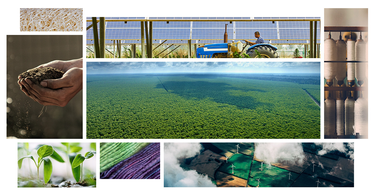 Why the Bioeconomy Can Pave the Way to a Greener Future