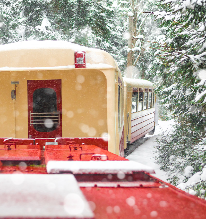 Discover Georgia: A Land of Wintertime Adventure