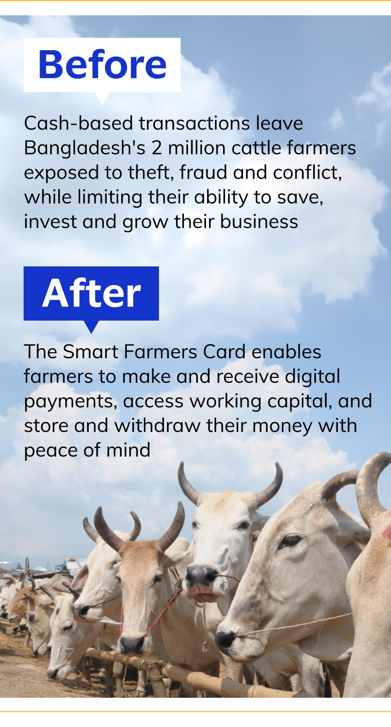 Leveling the Paying Field: How Visa Helps Small Businesses Go Big