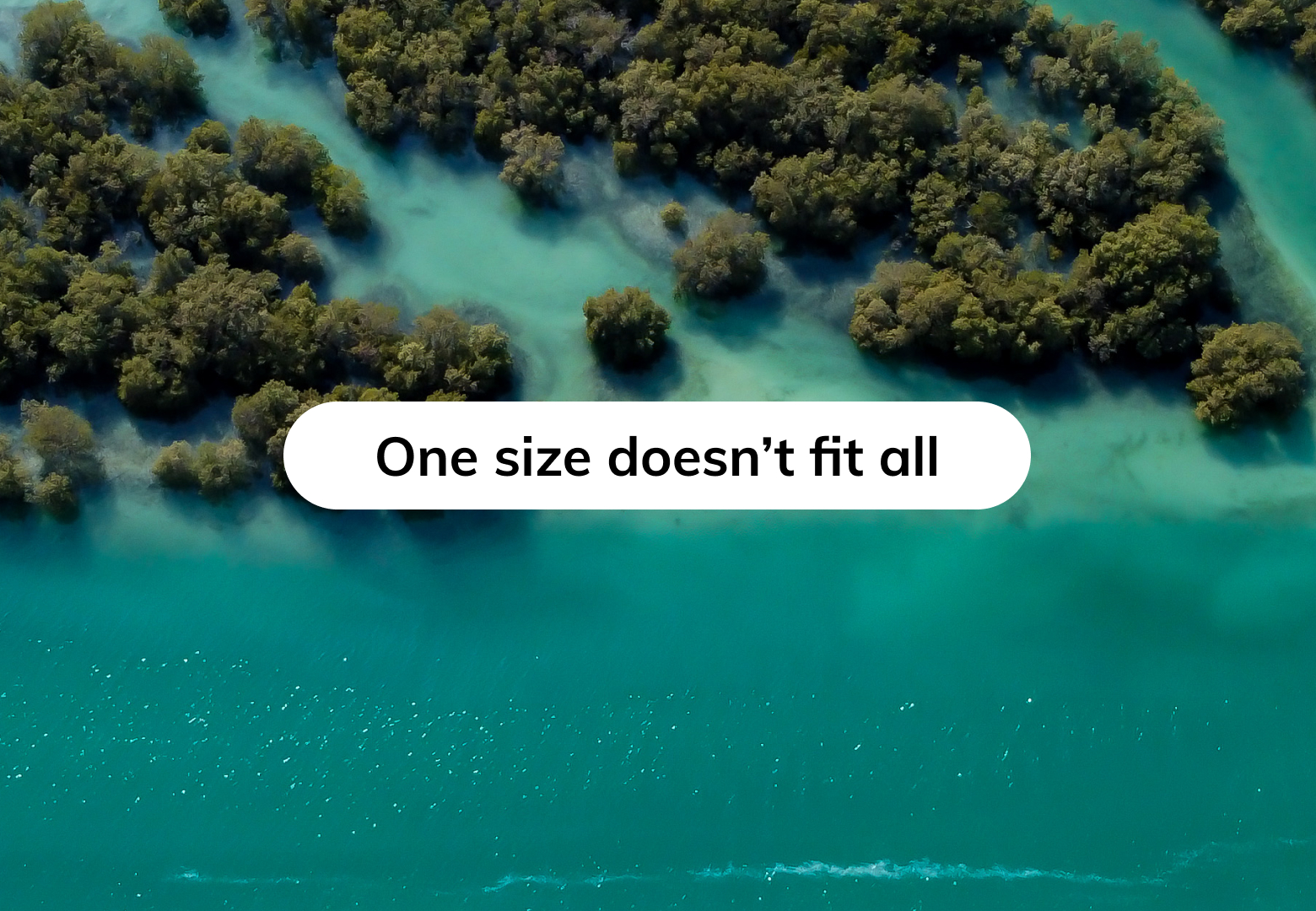 FAB Accelerates Net Zero Agenda