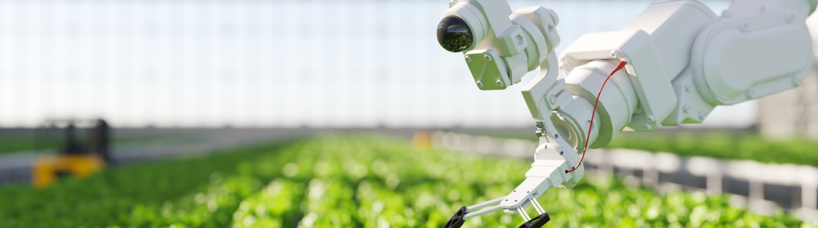 What is Smart Farming & Smart Agriculture? | Verizon