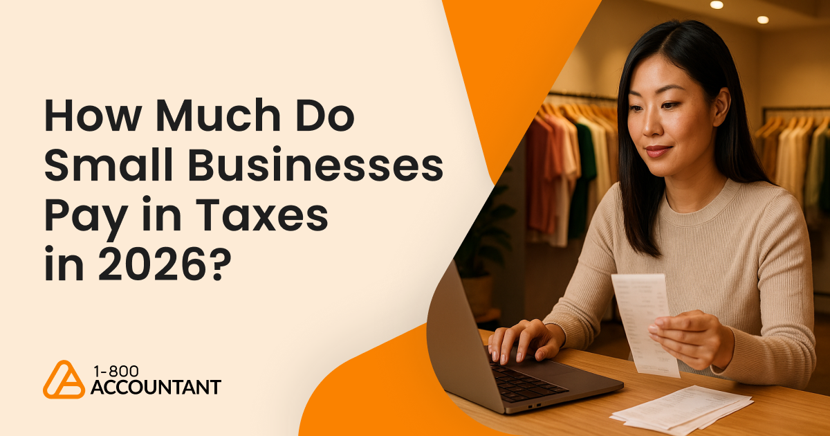 How Much Do Small Businesses Pay in Taxes in 2026? | 1-800Accountant