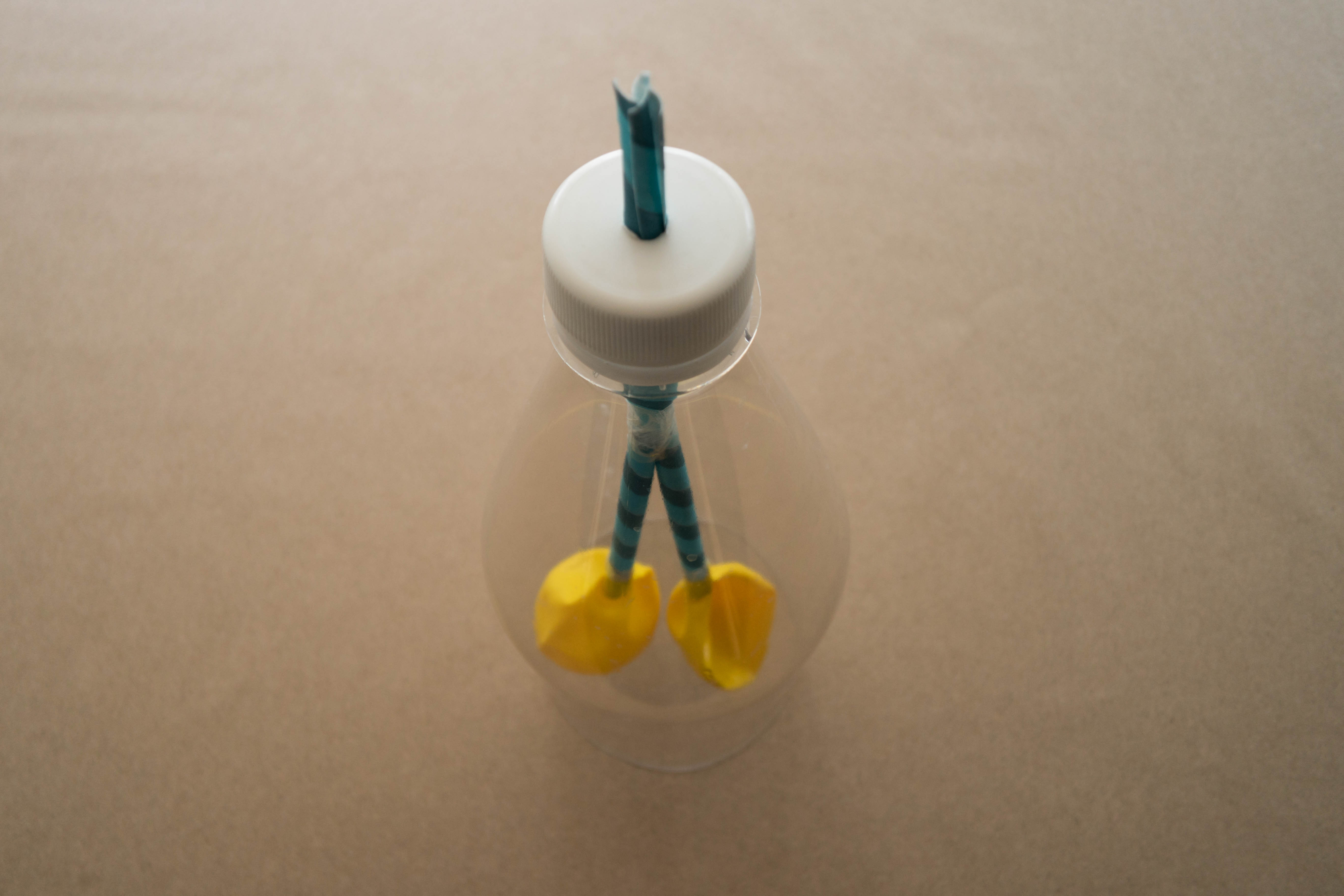 Plastic Bottle Lung Model at Zoe Agaundo blog