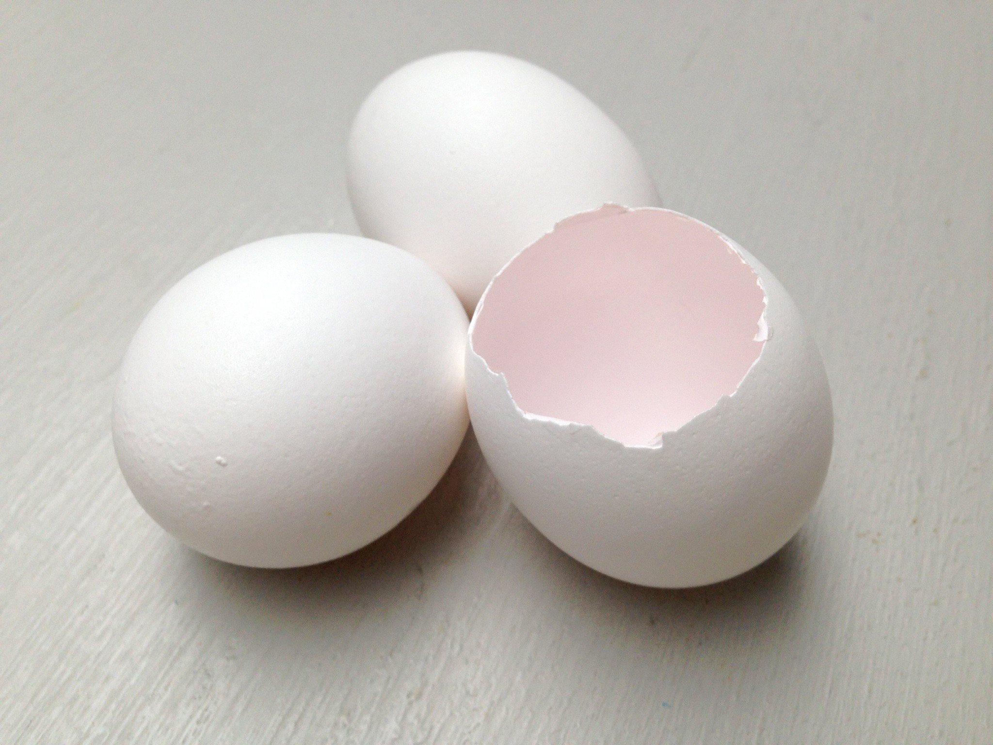 Egg Geodes | DIY for Beginners | KiwiCo