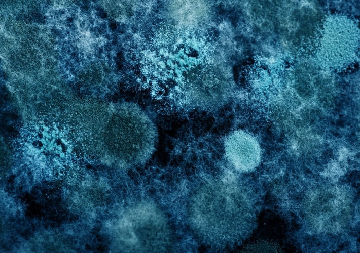 Microbial Decontamination Technology | ASTM