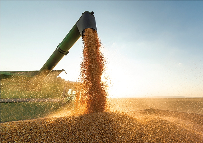 Grain Power | ASTM