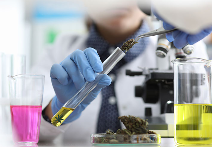 Cannabis Safety | ASTM