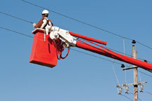 Working Out on a Limb | ASTM