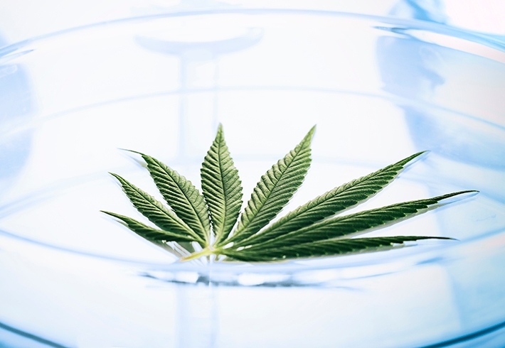 Cannabis Certification | ASTM