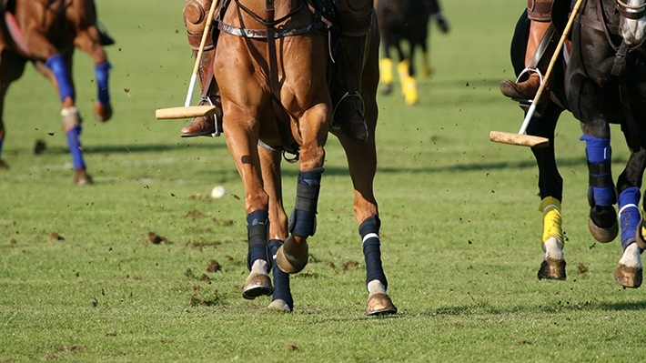 Equestrian Standards Gallop Ahead | ASTM