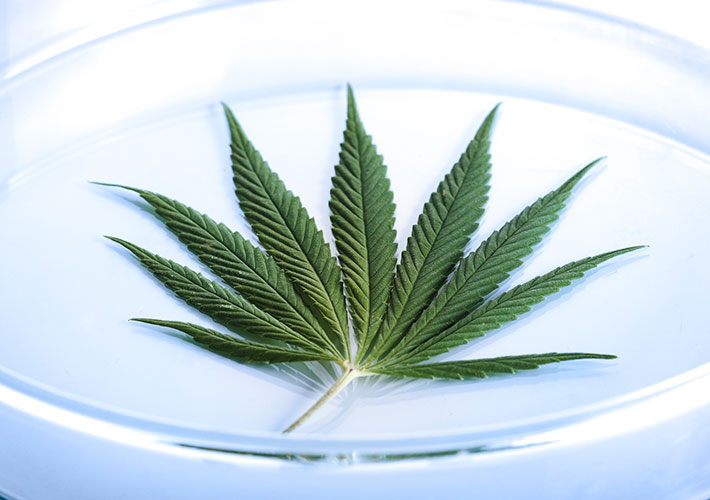 Two Proposed Standards Underway to Support Cannabis Sampling Procedures ...