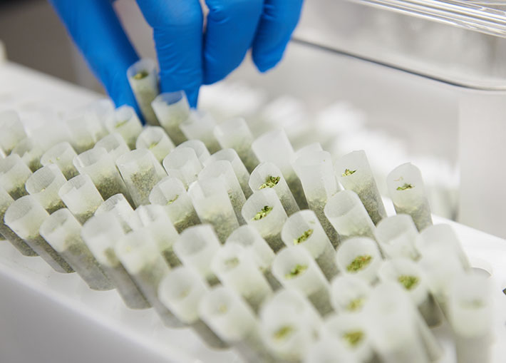 Cannabis Control and Manufacture | ASTM