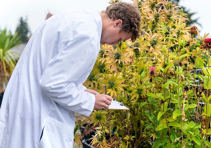 Cannabis Safety and Quality | ASTM