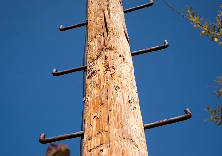 Fire Resistance of Wooden Utility Poles | ASTM