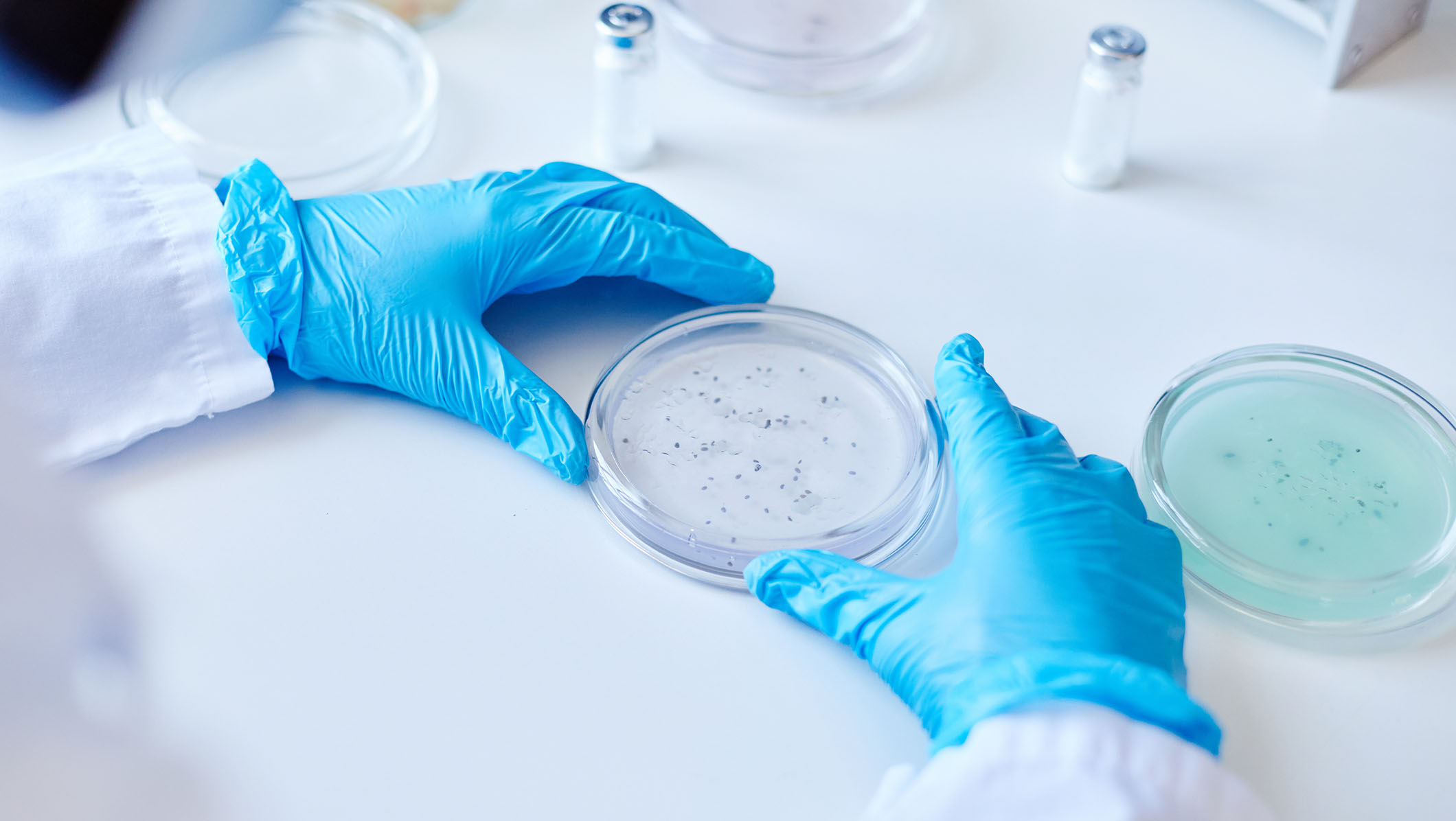 Tissue Cell Cultivation Covered in New Standard | ASTM