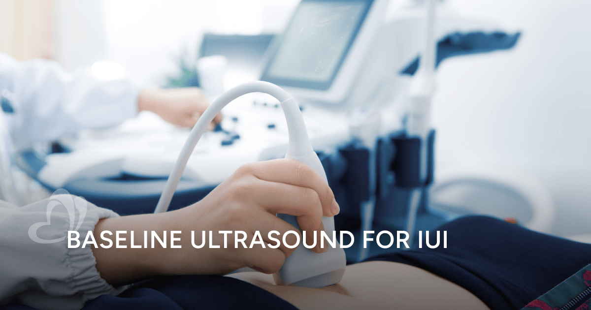 Baseline Ultrasound for IUI: What Is It and Why Do You Need It ...