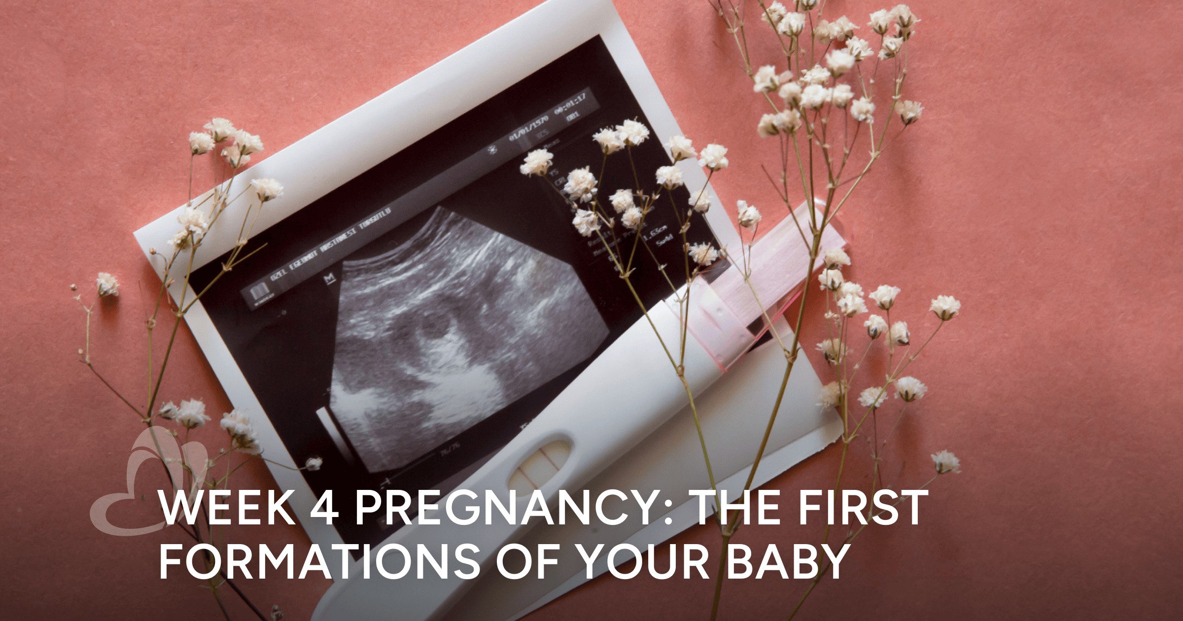 Week 4 Pregnancy: The First Formation of Your Baby | Thomson Medical