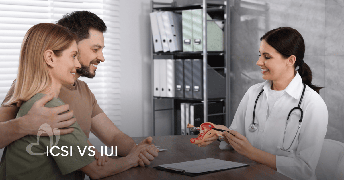 ICSI vs IUI in Singapore: Choosing Your Fertility Treatment Options ...