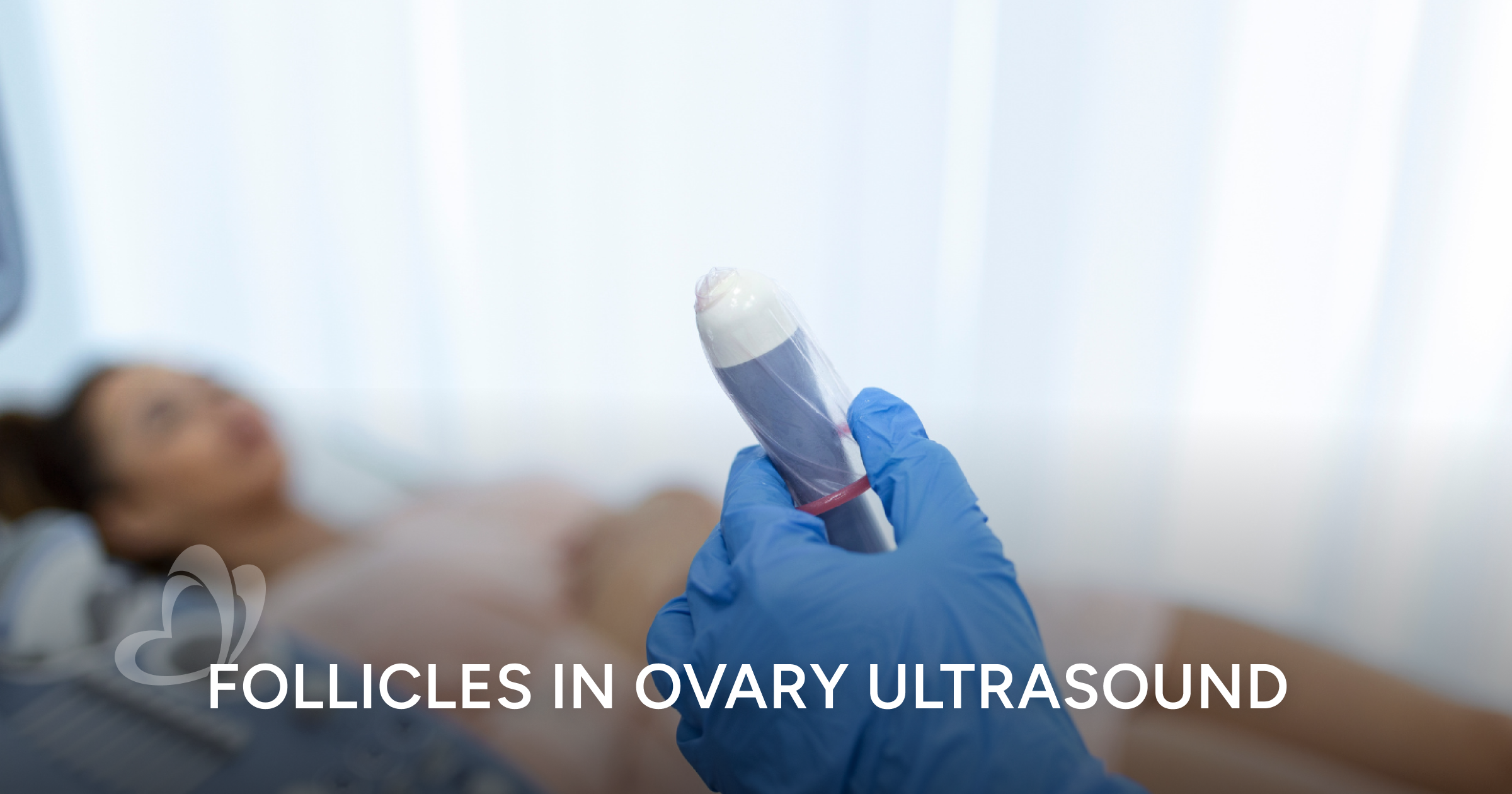 Ovarian Follicle Ultrasound: Here’s What You Need to Know | Thomson Medical
