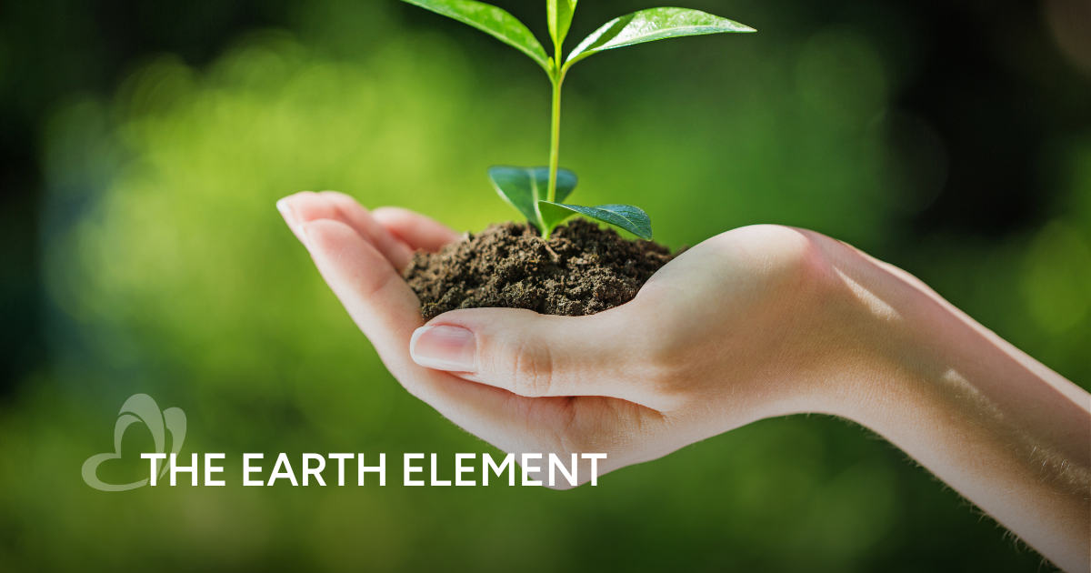The Earth Element | Thomson Medical