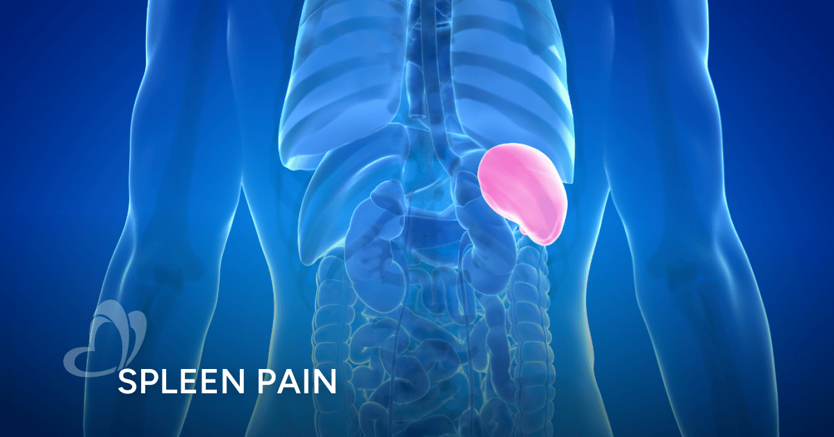 Spleen Pain: Signs, Causes and When to See a Doctor | Thomson Medical