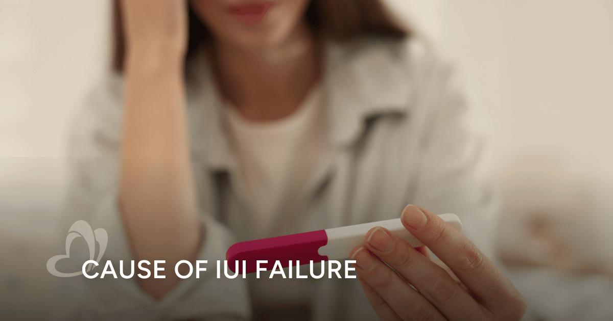 Cause of IUI Failure: Common Factors and How to Improve Your Chances ...