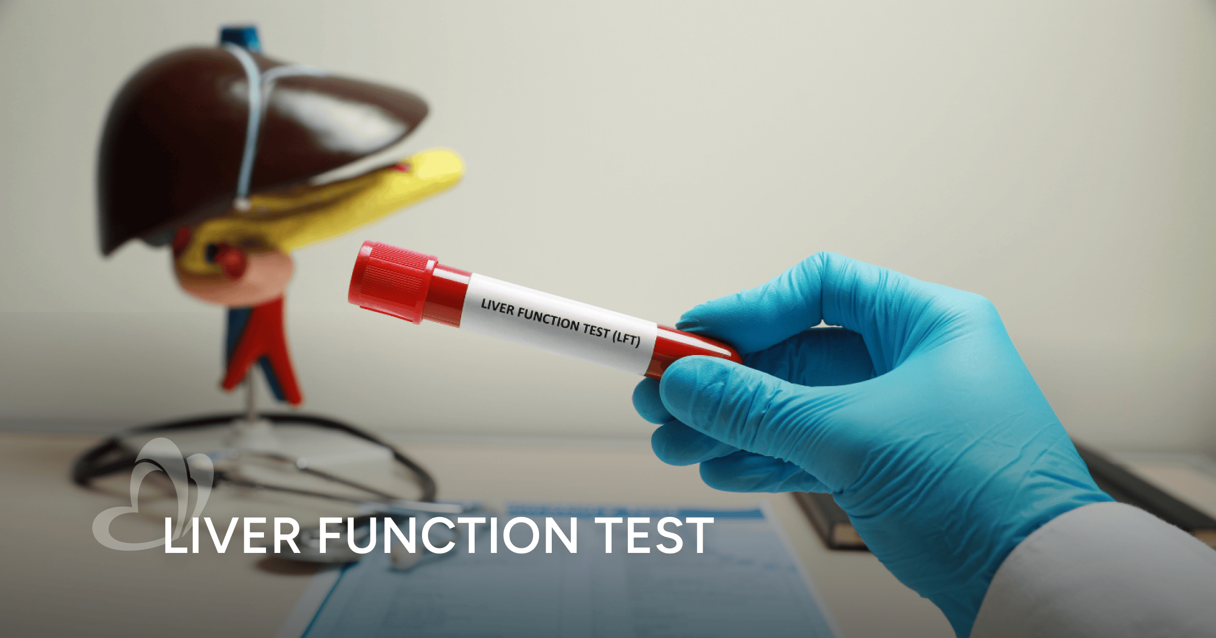 Liver Function Tests: What It Is, Procedure & What Your Results Mean ...