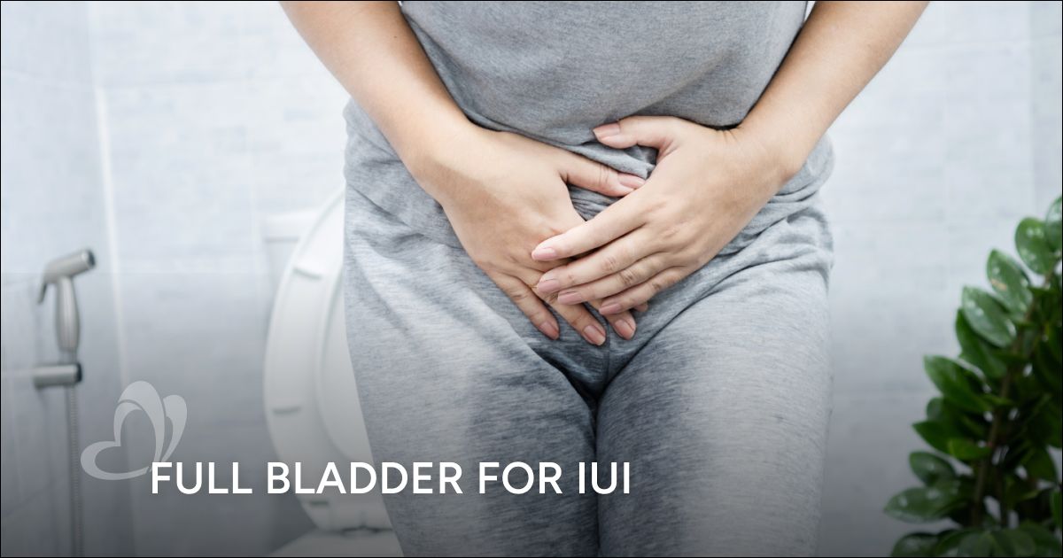 Why Do I Need a Full Bladder for IUI? | Thomson Medical