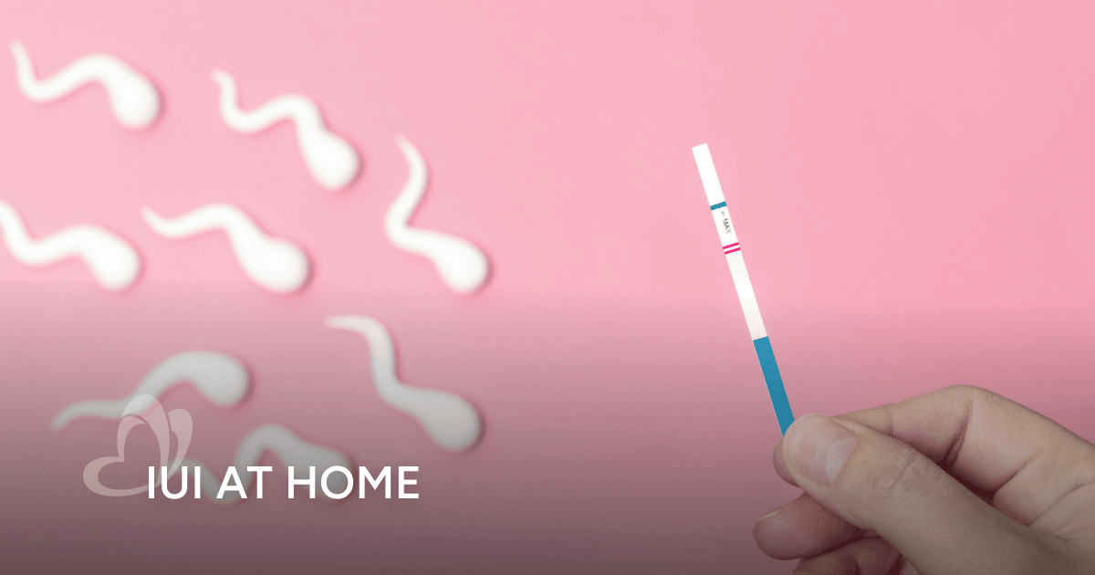 IUI at Home: A Complete Guide to Safe and Successful Insemination ...